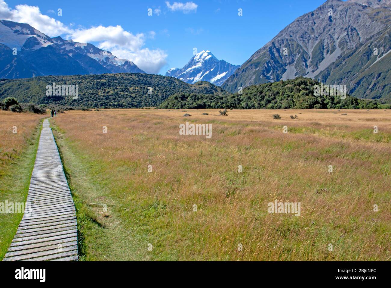 The Kea Point Track, with Aoraki/Mt Cook rising ahead Stock Photo - Alamy