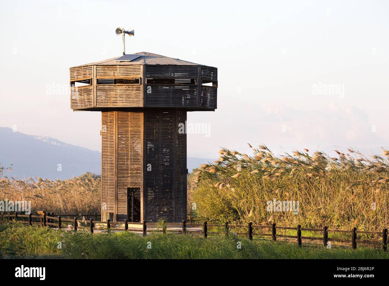 Observation tower for birdwatching in Phragmites australis wetland ...