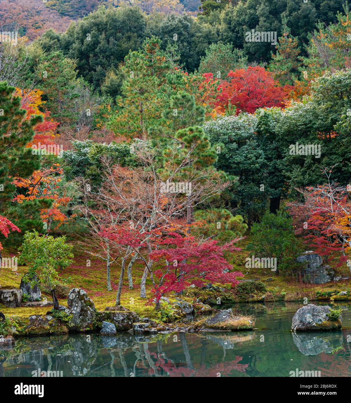 the garden with full autumn colors at the Tenryuji Temple in Kyoto ...