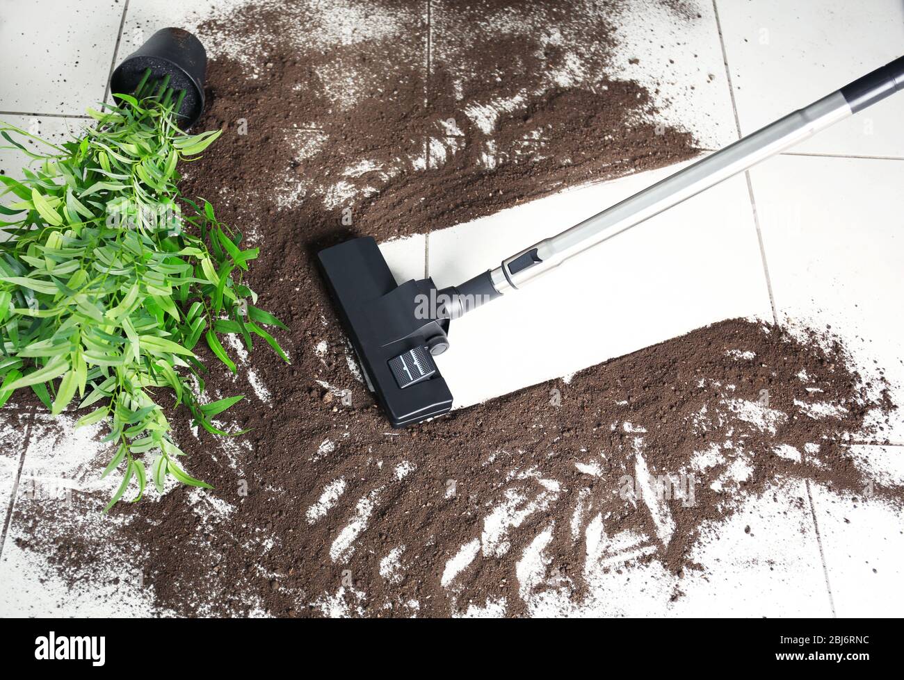 Vacuum cleaning after falling flower pot on a tiled floor Stock Photo ...