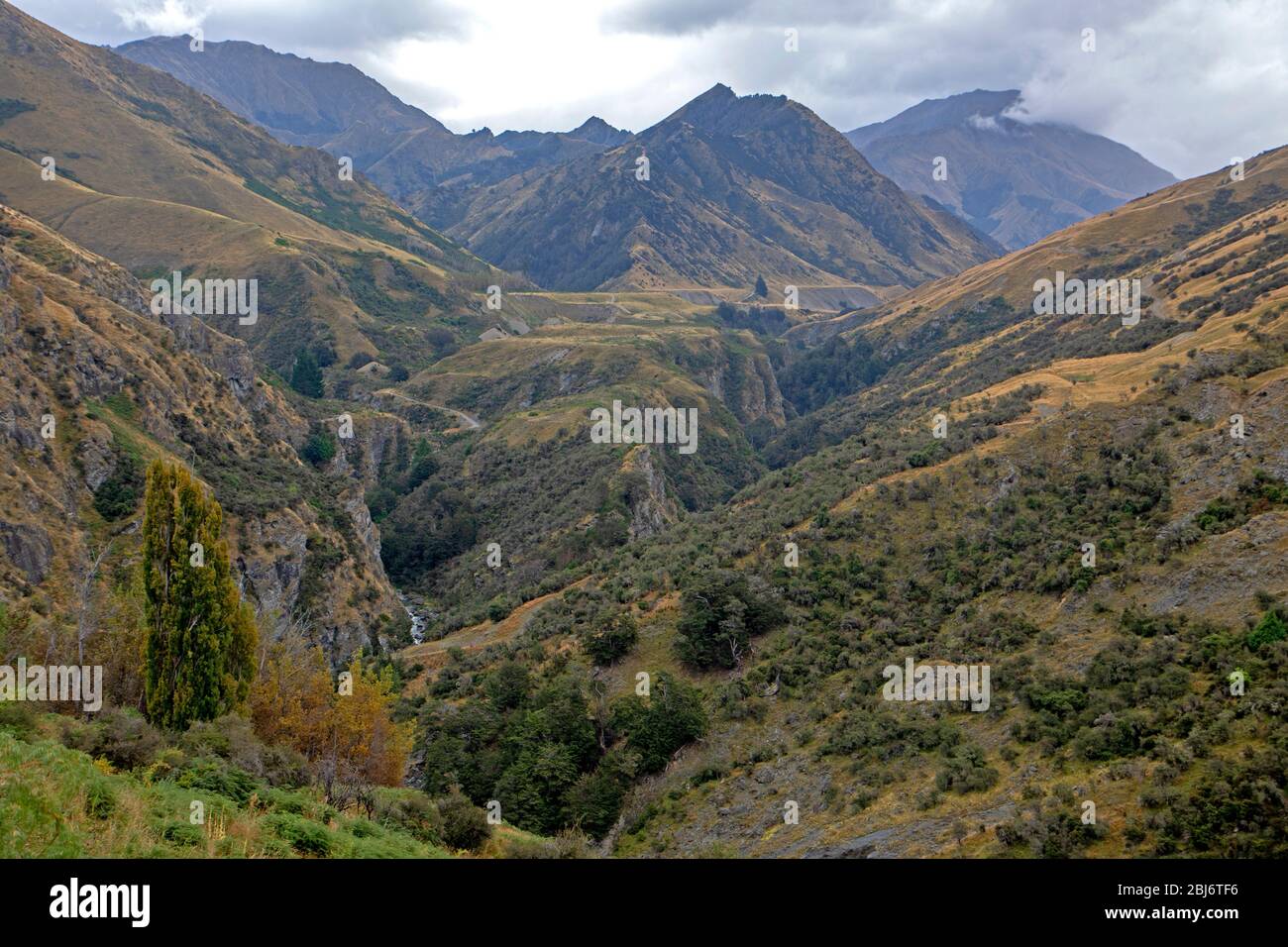 Moonlight Valley on Ben Lomond Station in Queenstown Stock Photo - Alamy