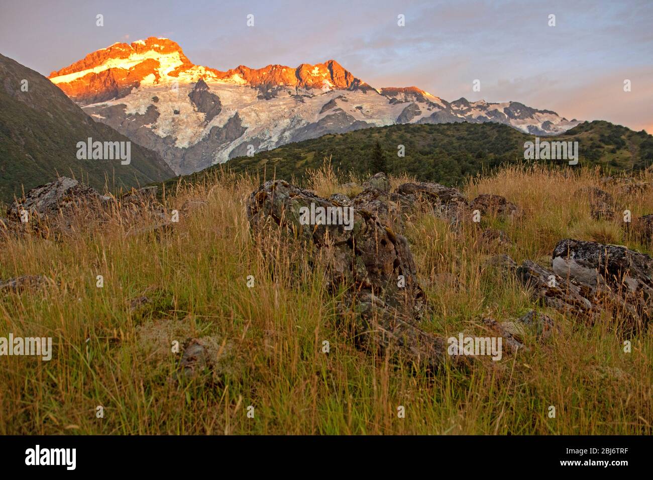 Dawn light on Mt Sefton from the Hooker Valley Stock Photo - Alamy