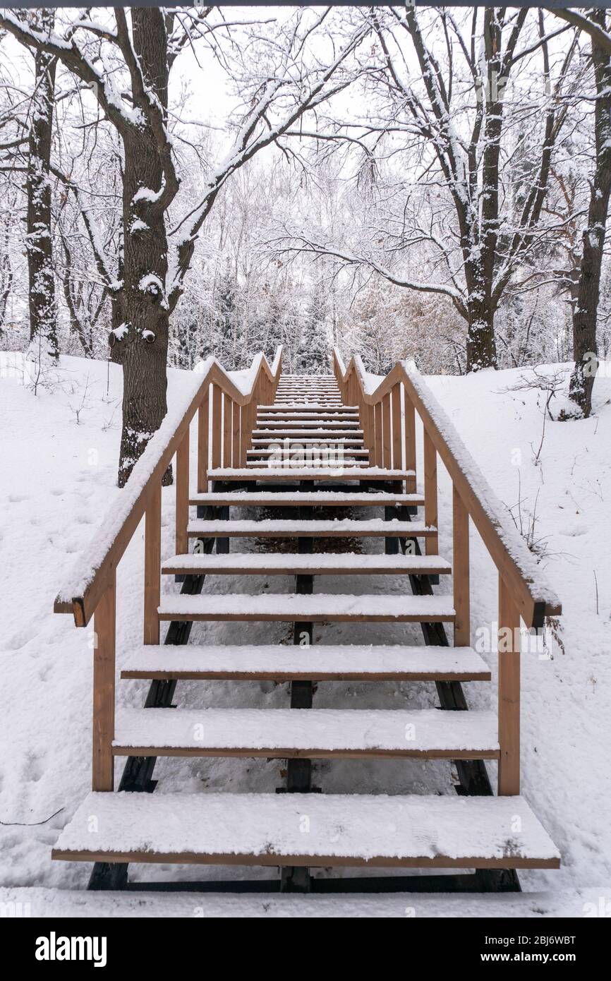 Winter snow forest bridge in park. Russia Stock Photo - Alamy