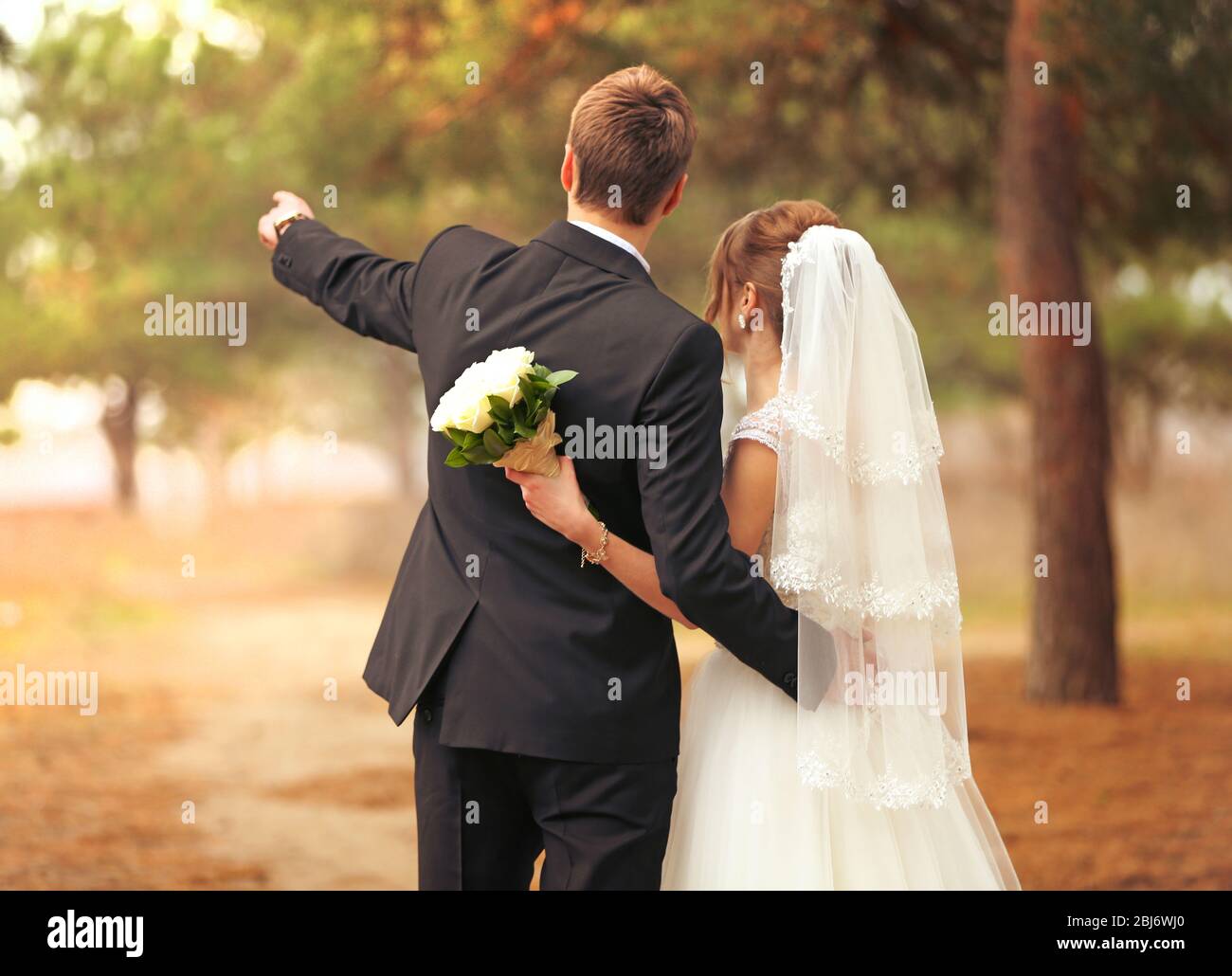 Beautiful groom and bride standing back on a forest background Stock ...