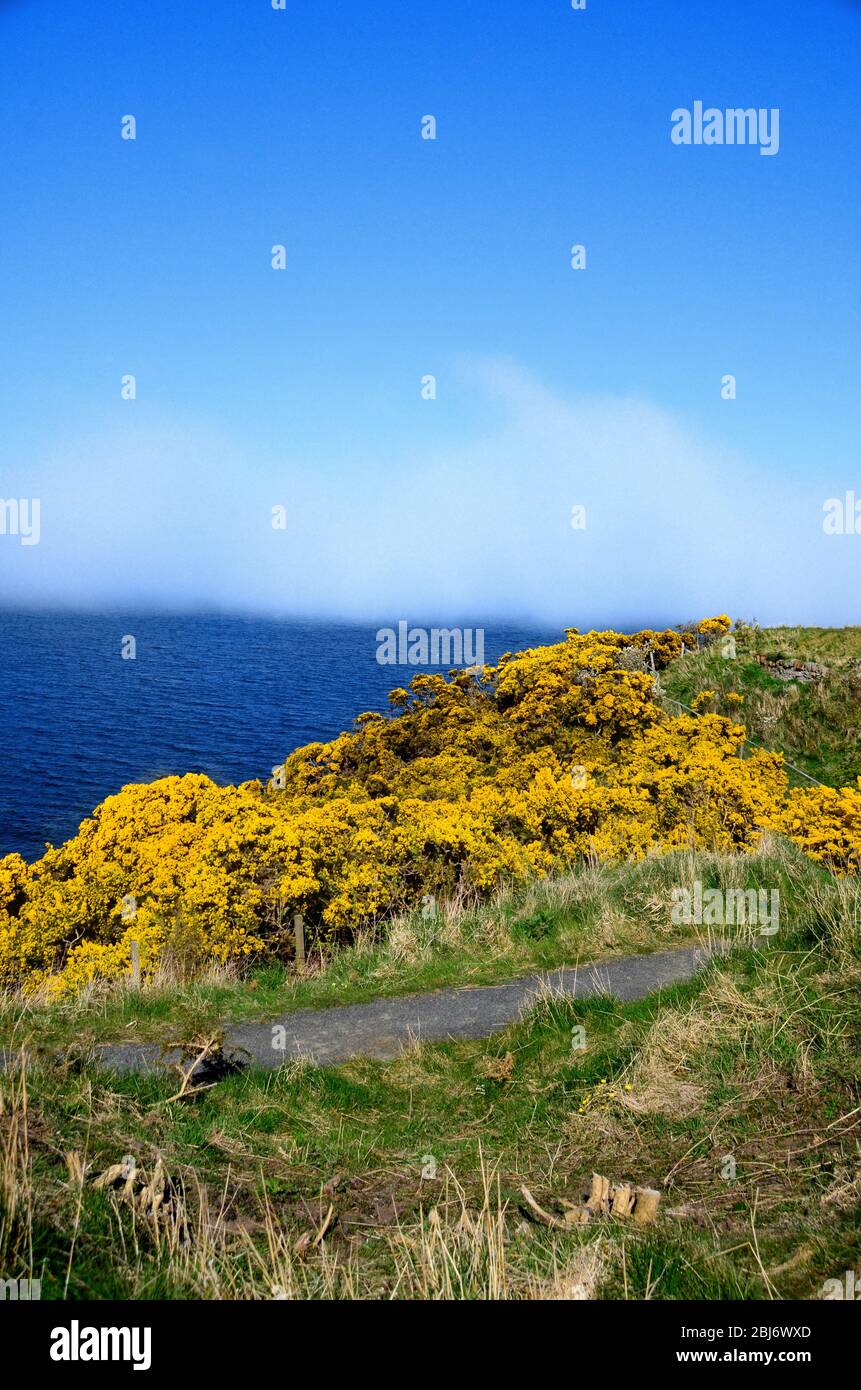 Harr hi-res stock photography and images - Alamy