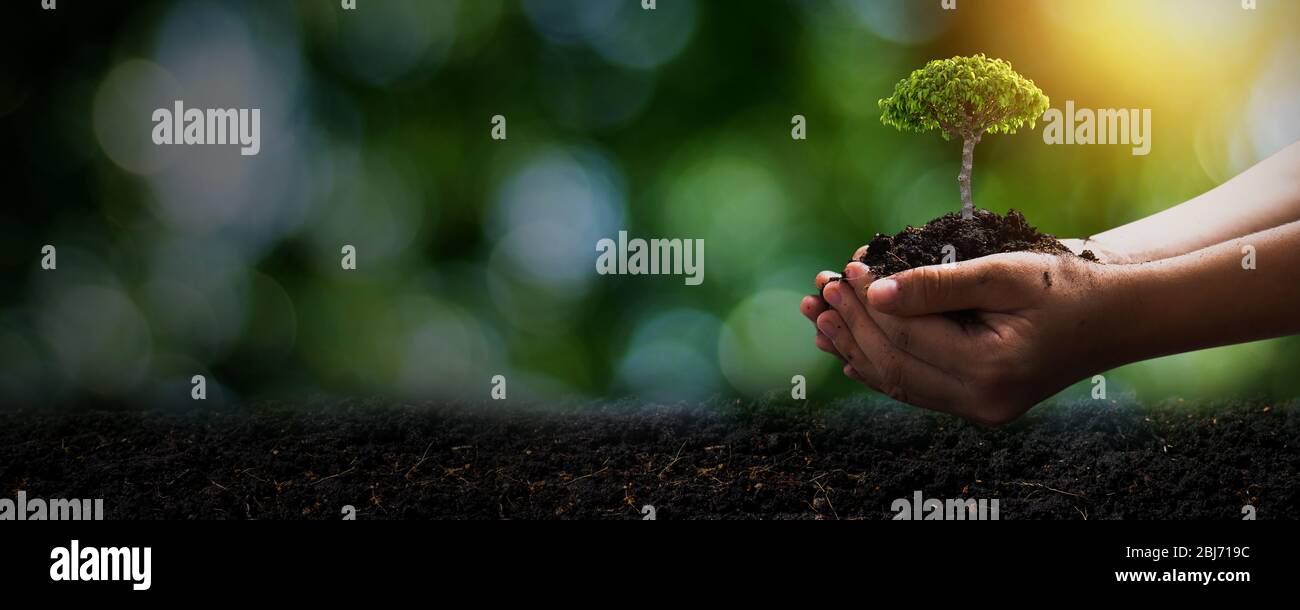 World environment day and save environment concept, close up hand ...