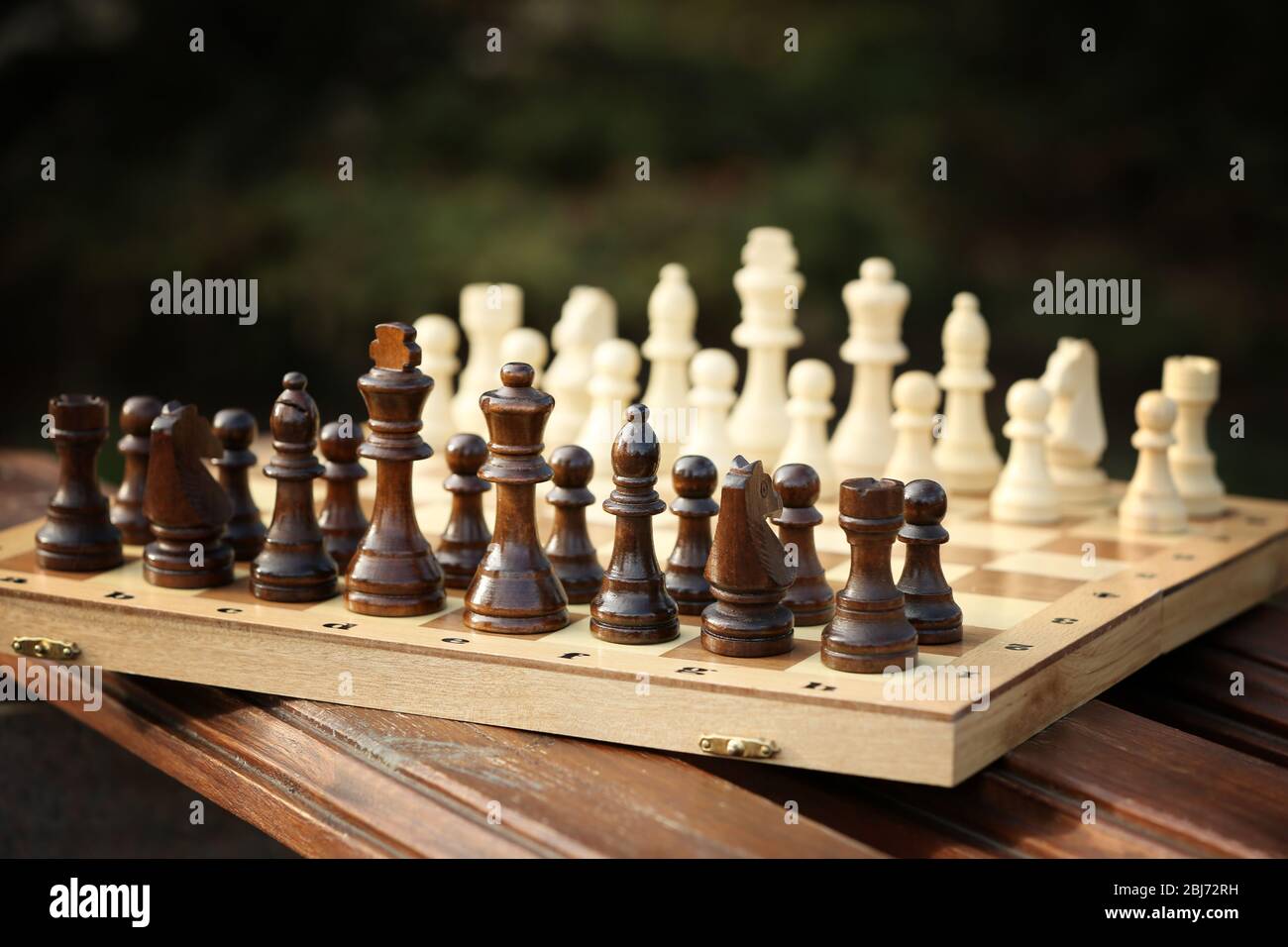 Chess pieces and game board on nature background Stock Photo - Alamy