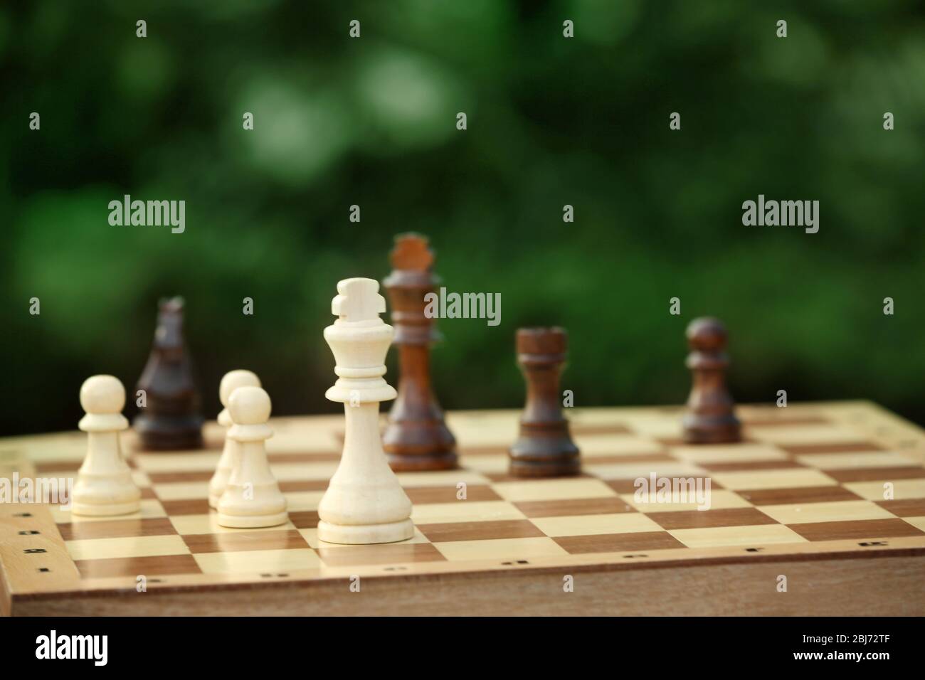 Chess pieces and game board on nature background Stock Photo - Alamy