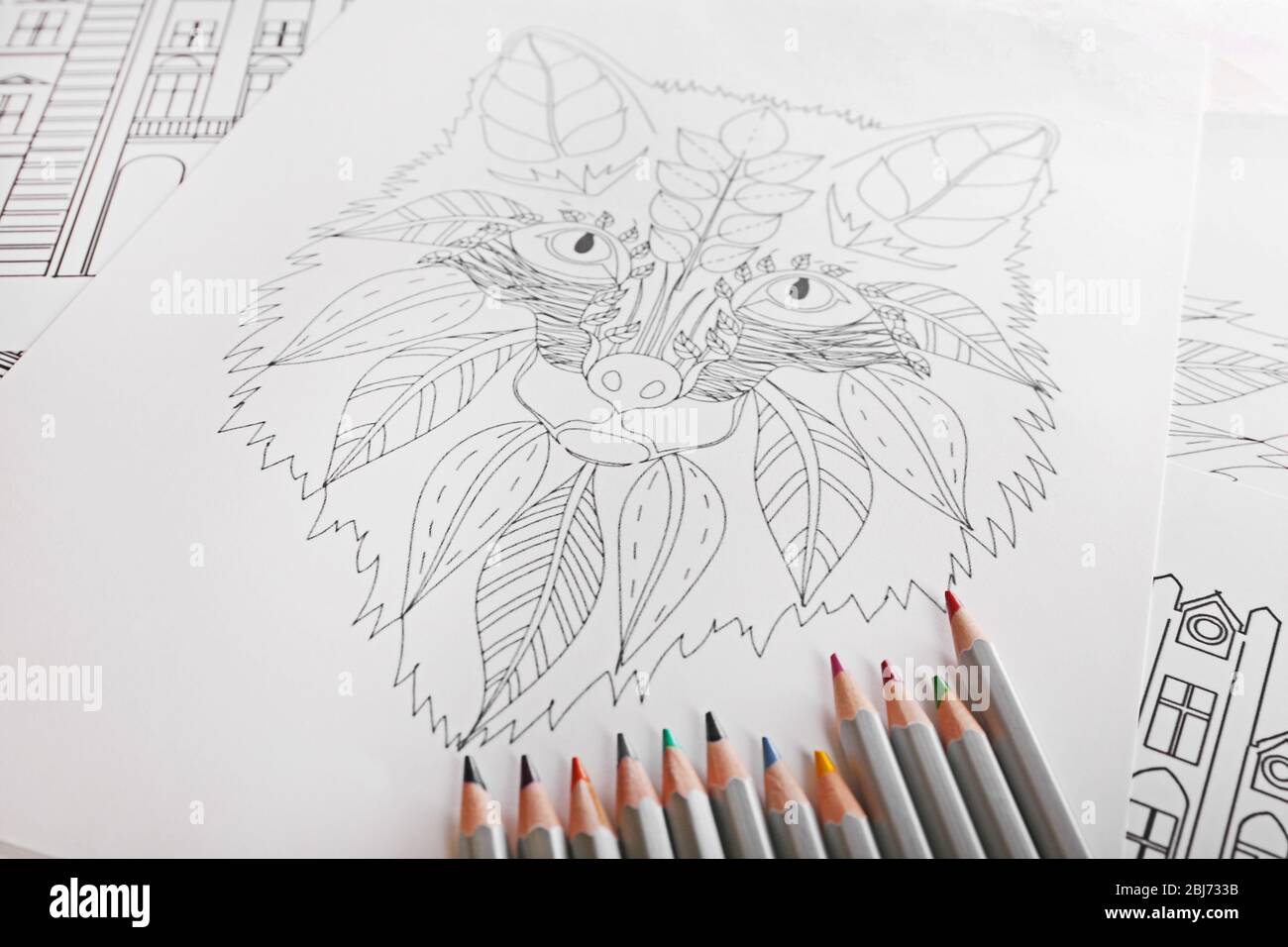 Zentangle fox hi-res stock photography and images - Alamy