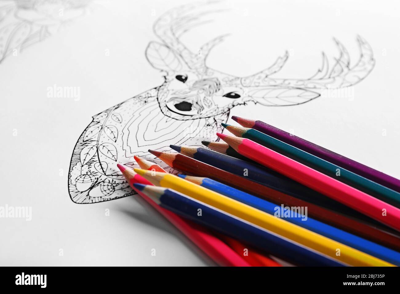Doodle drawing of deer and colour pencils Stock Photo - Alamy