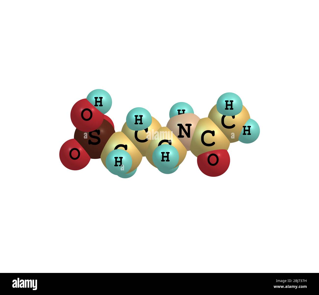 A model of a molecule of Acamprosate, also known as Campral. It is used ...
