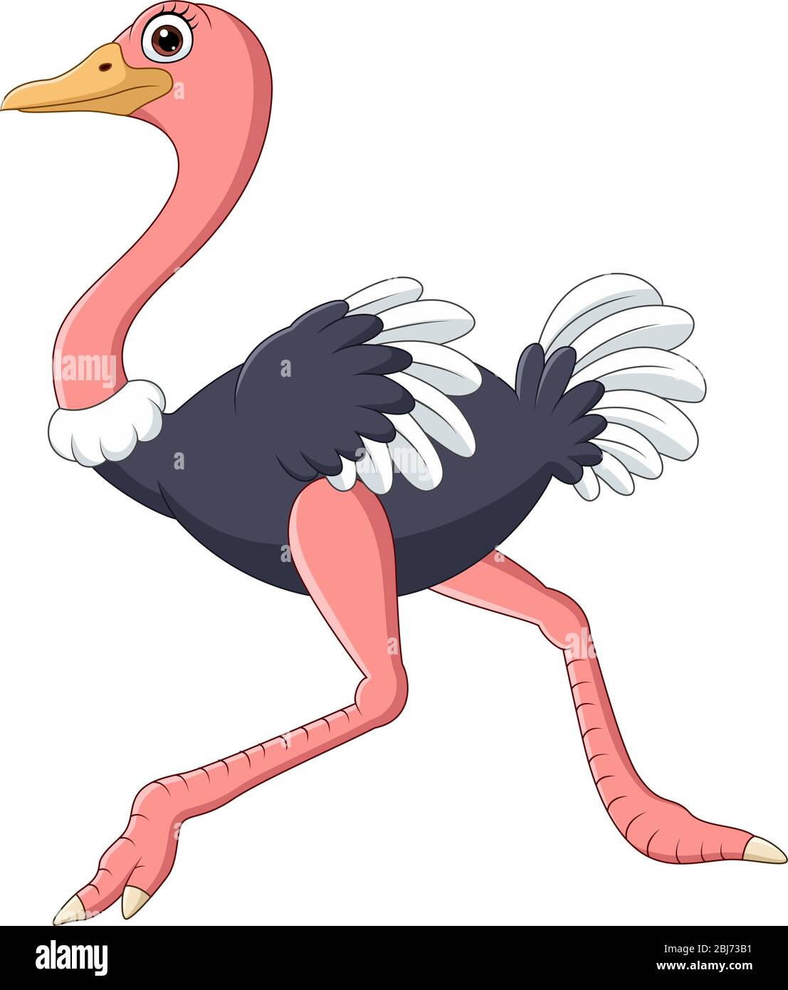 Cartoon ostrich running isolated on white background Stock Vector Image ...