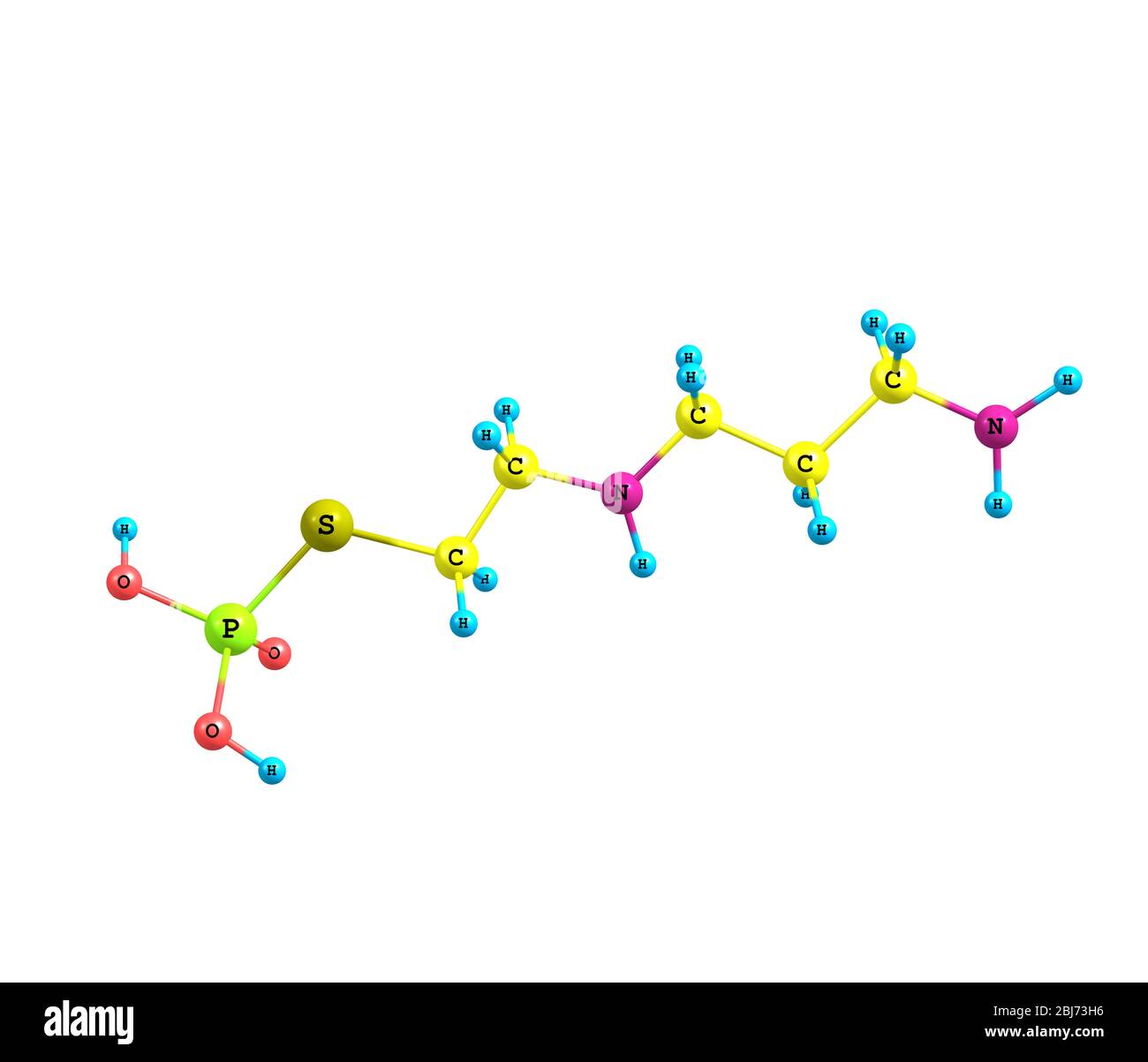 A model of a molecule of Amifostine (Ethyol). It is used as a cancer ...