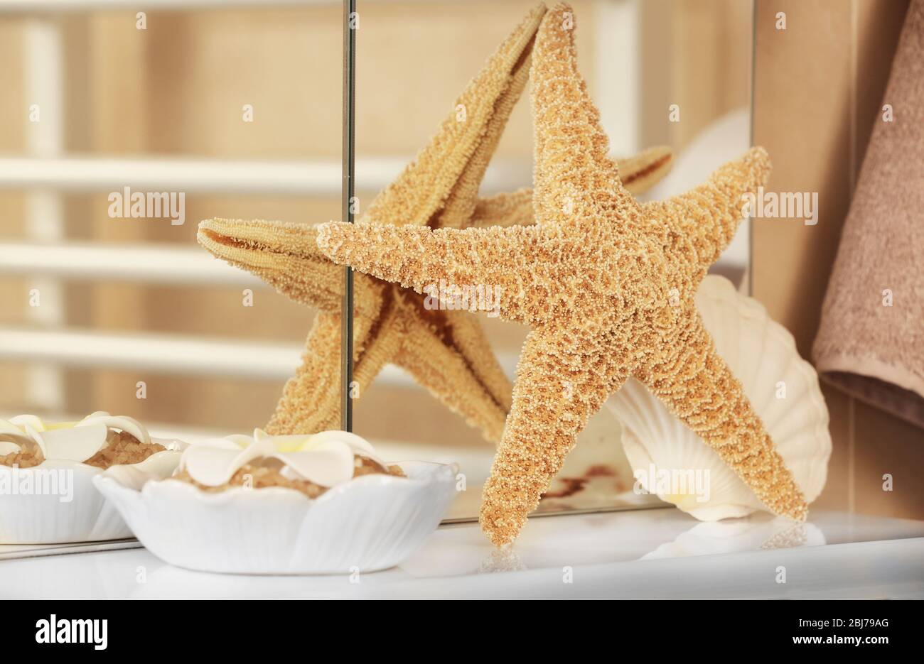 Shell on shelf hi-res stock photography and images - Alamy