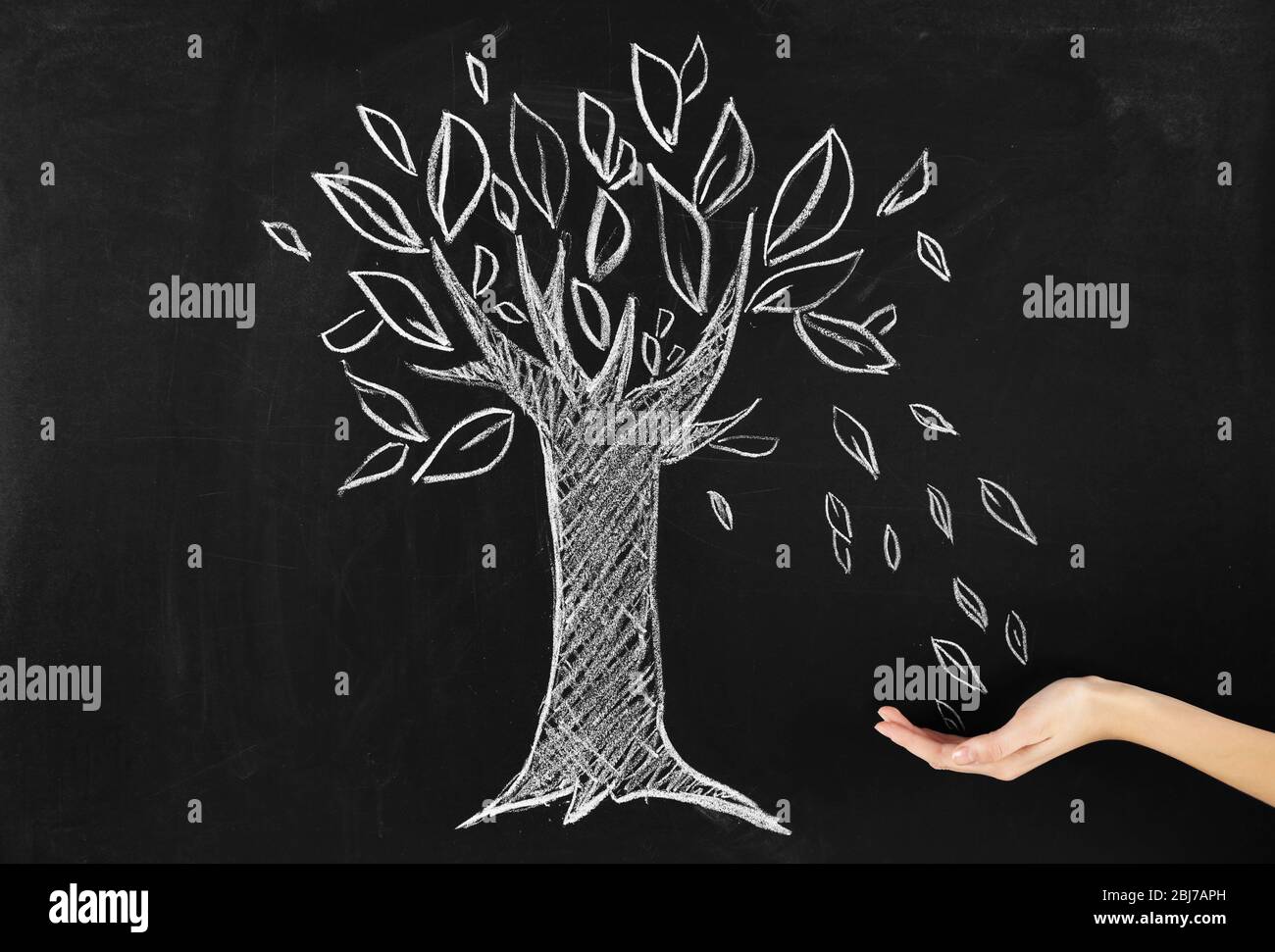 Hand catching leaf hi-res stock photography and images - Alamy