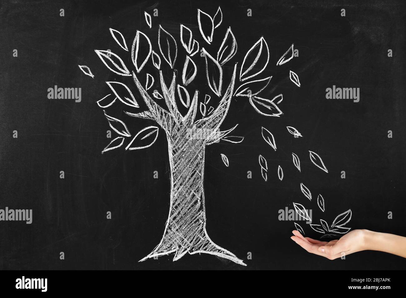 Photo of hand catching leaves painted on chalkboard Stock Photo - Alamy