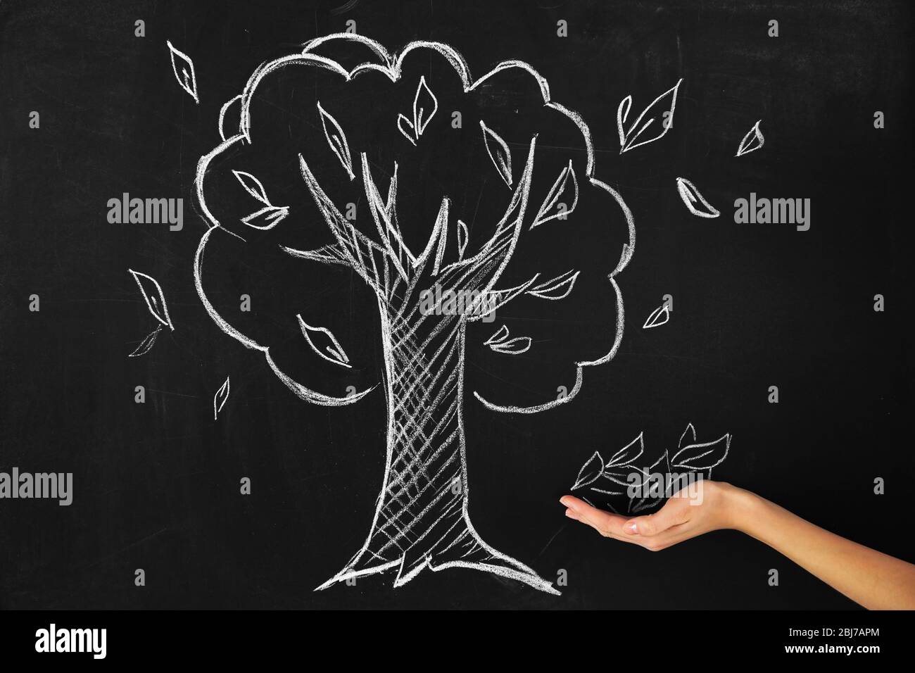 Photo of hand catching leaves painted on chalkboard Stock Photo - Alamy