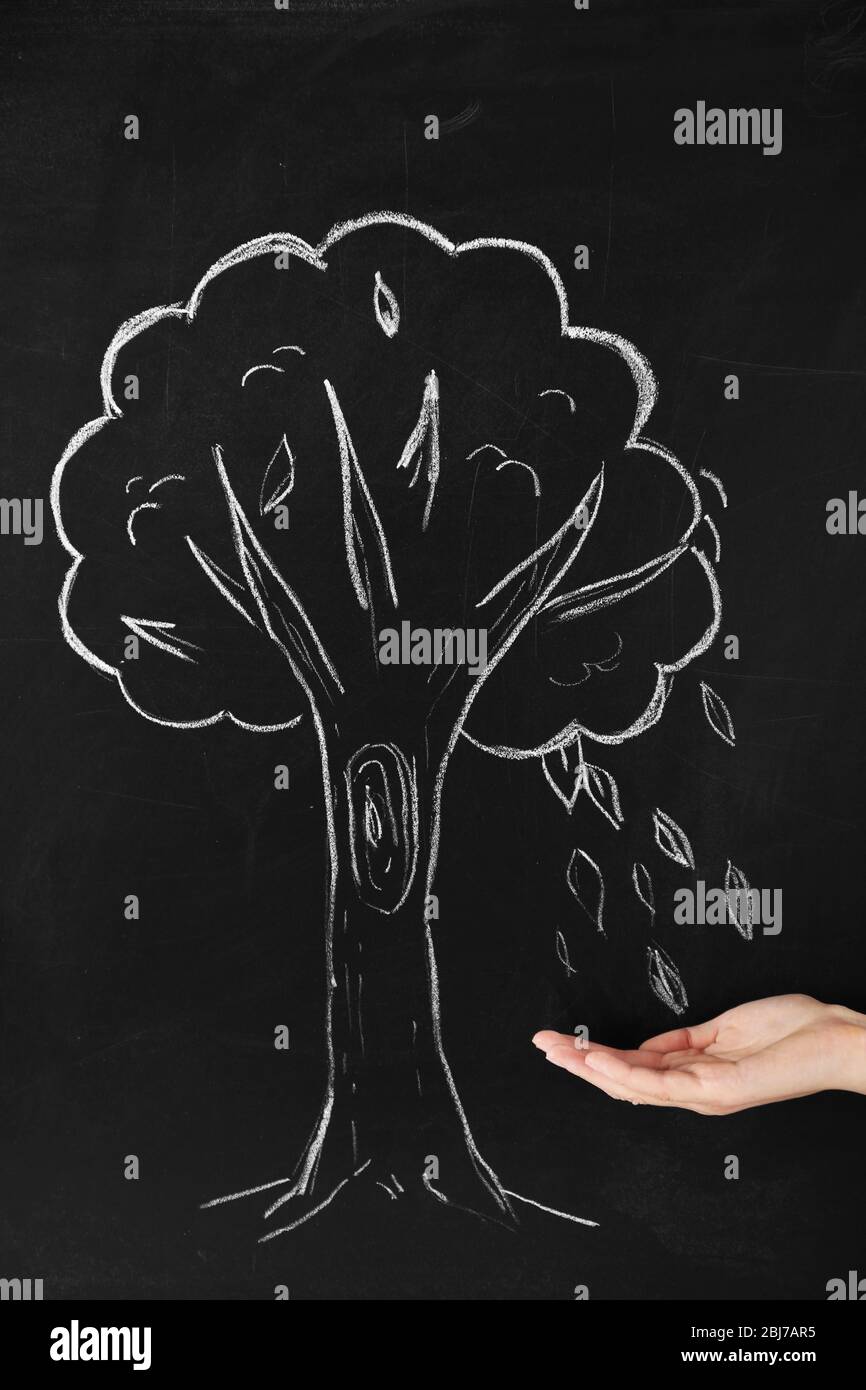 Hand catching falling leaves hi-res stock photography and images - Alamy