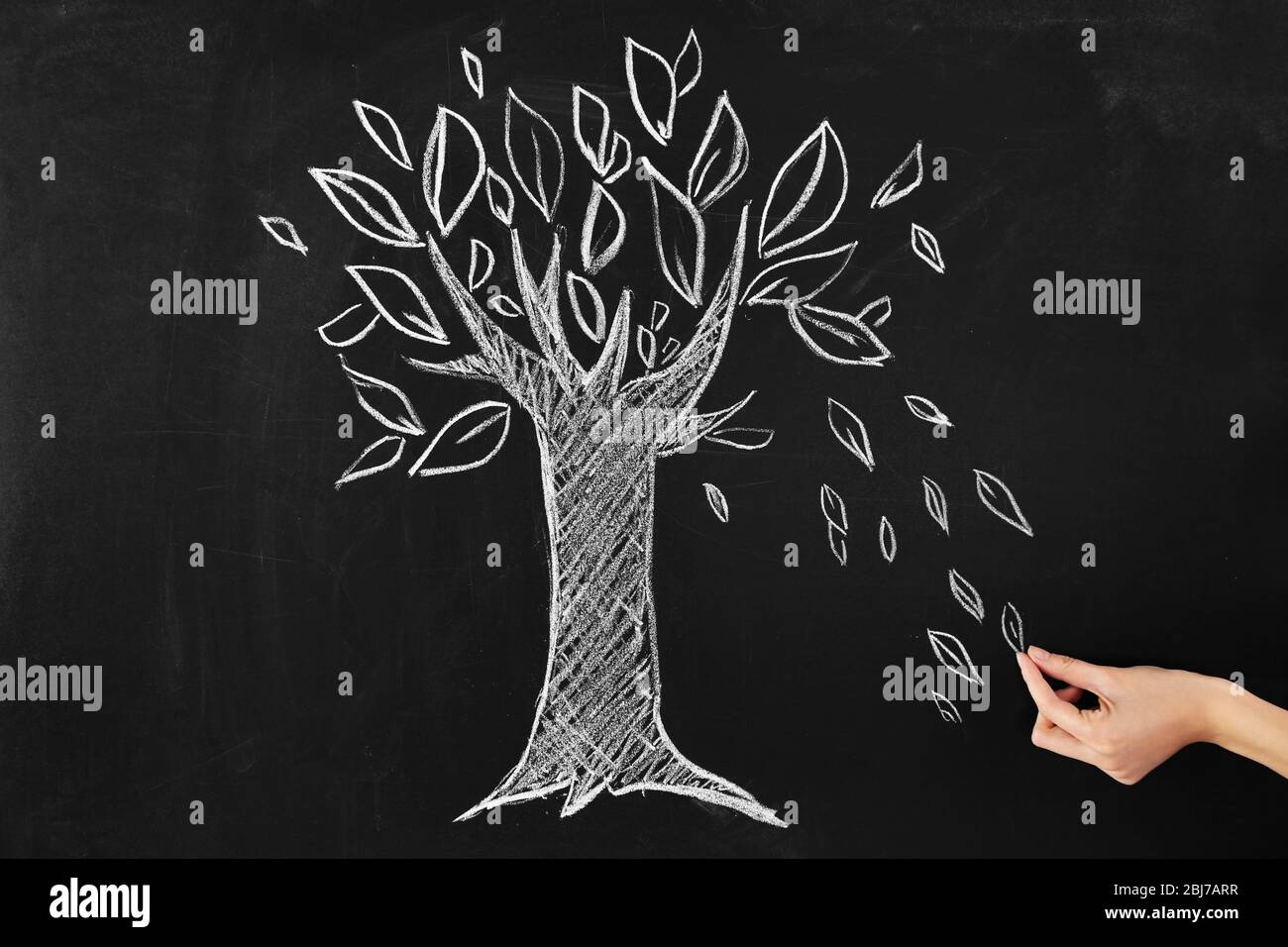 Photo of hand catching leaves painted on chalkboard Stock Photo - Alamy