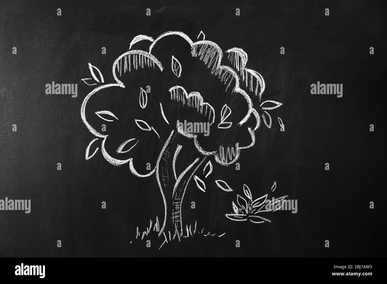 Tree drawn on blackboard Stock Photo - Alamy