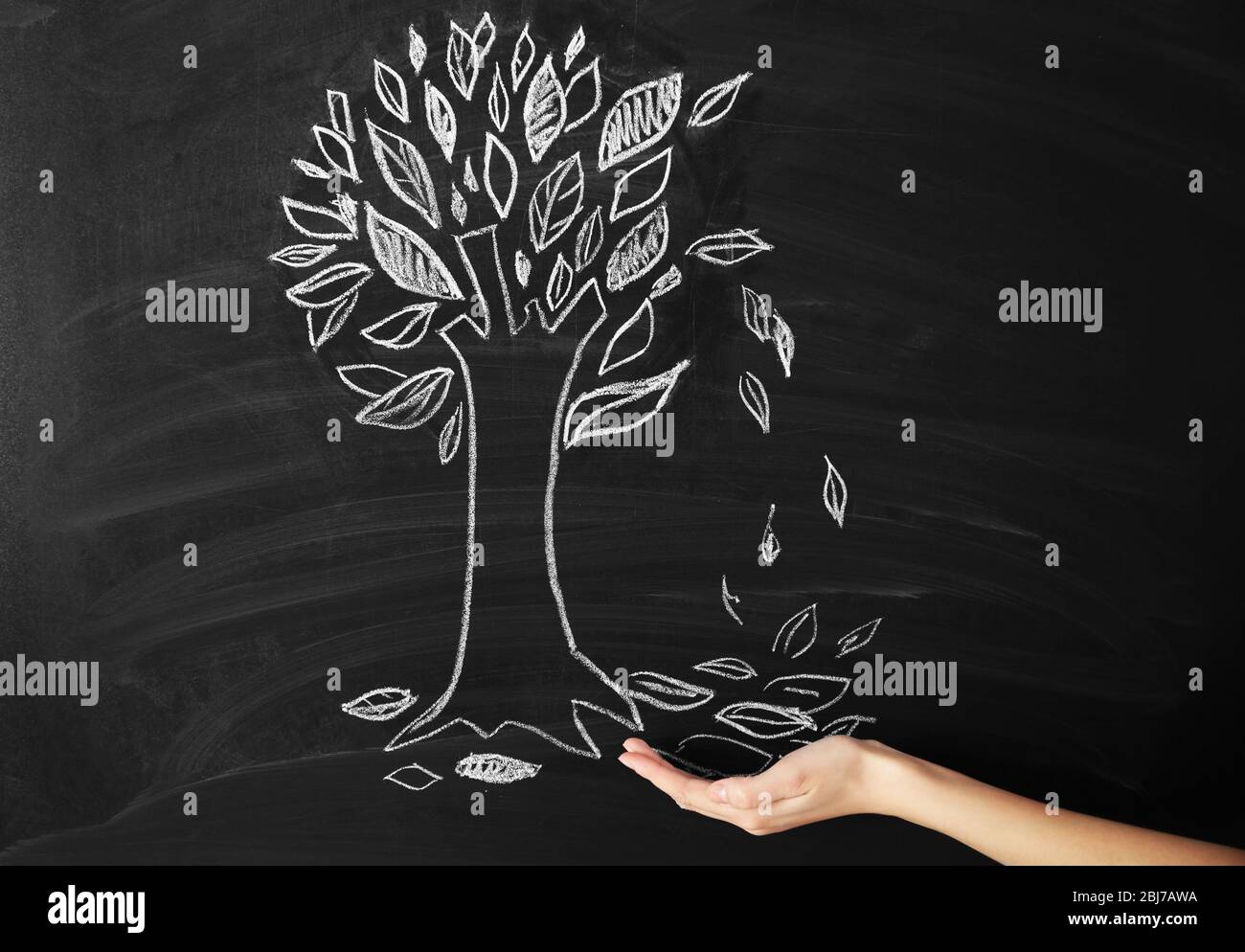 Hand catching falling leaves hi-res stock photography and images - Alamy