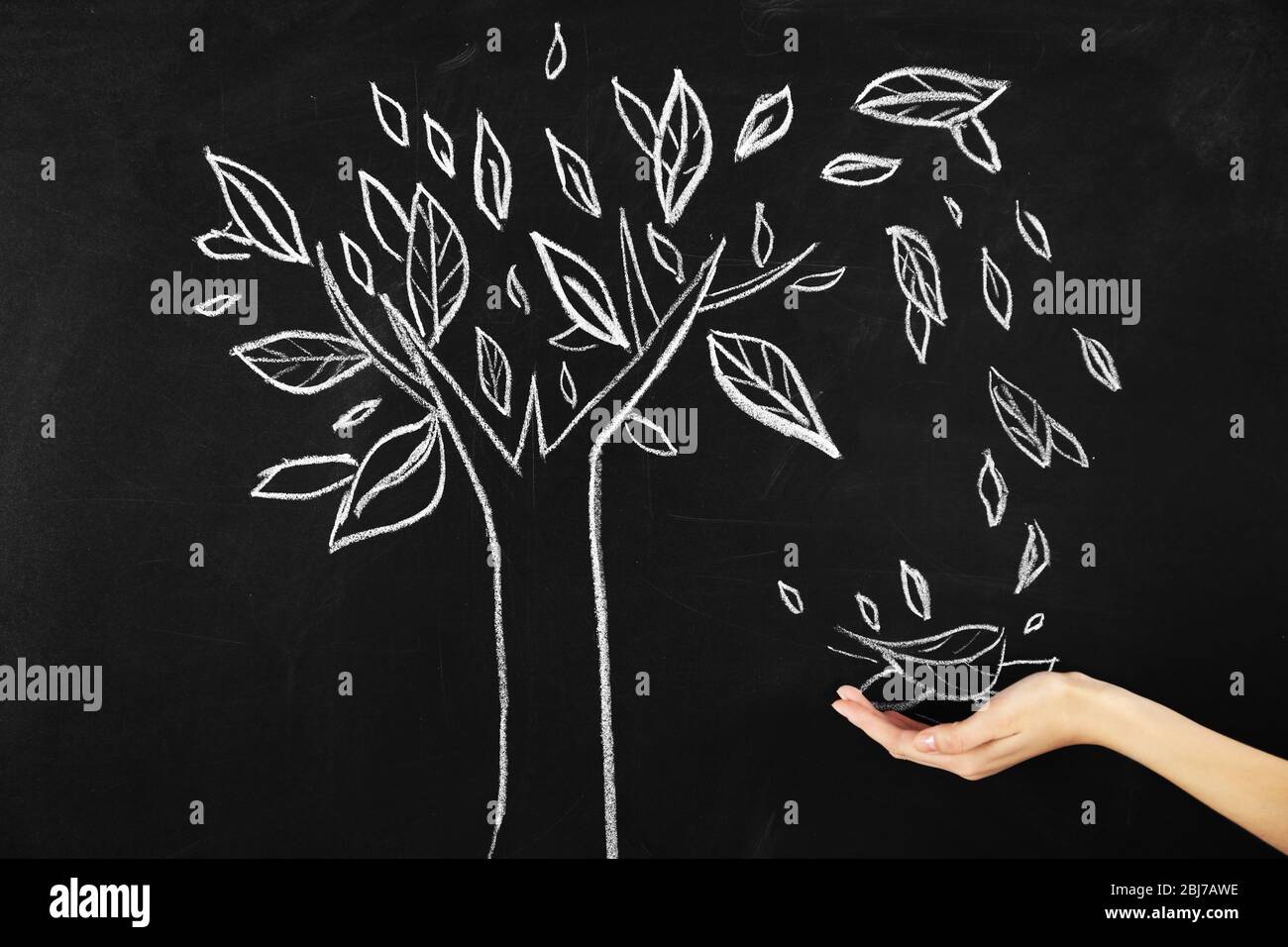 Photo of hand catching leaves painted on chalkboard Stock Photo - Alamy
