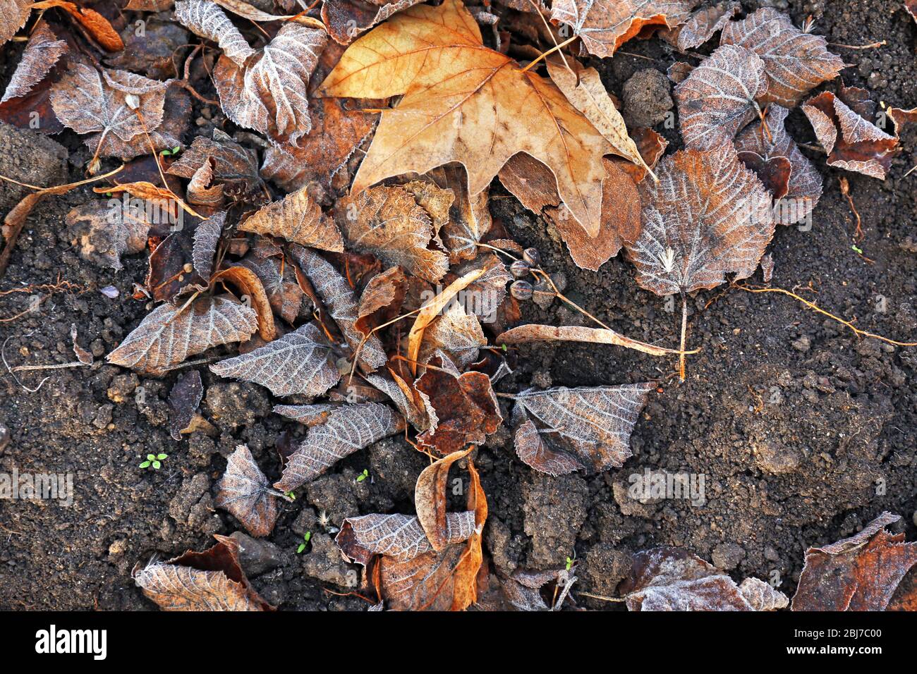 Dry underfoot hi-res stock photography and images - Alamy