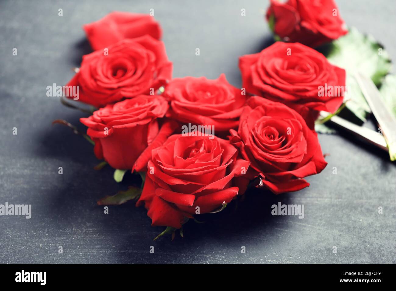 Fresh red roses buds in shape of heart with scissors on black textured ...