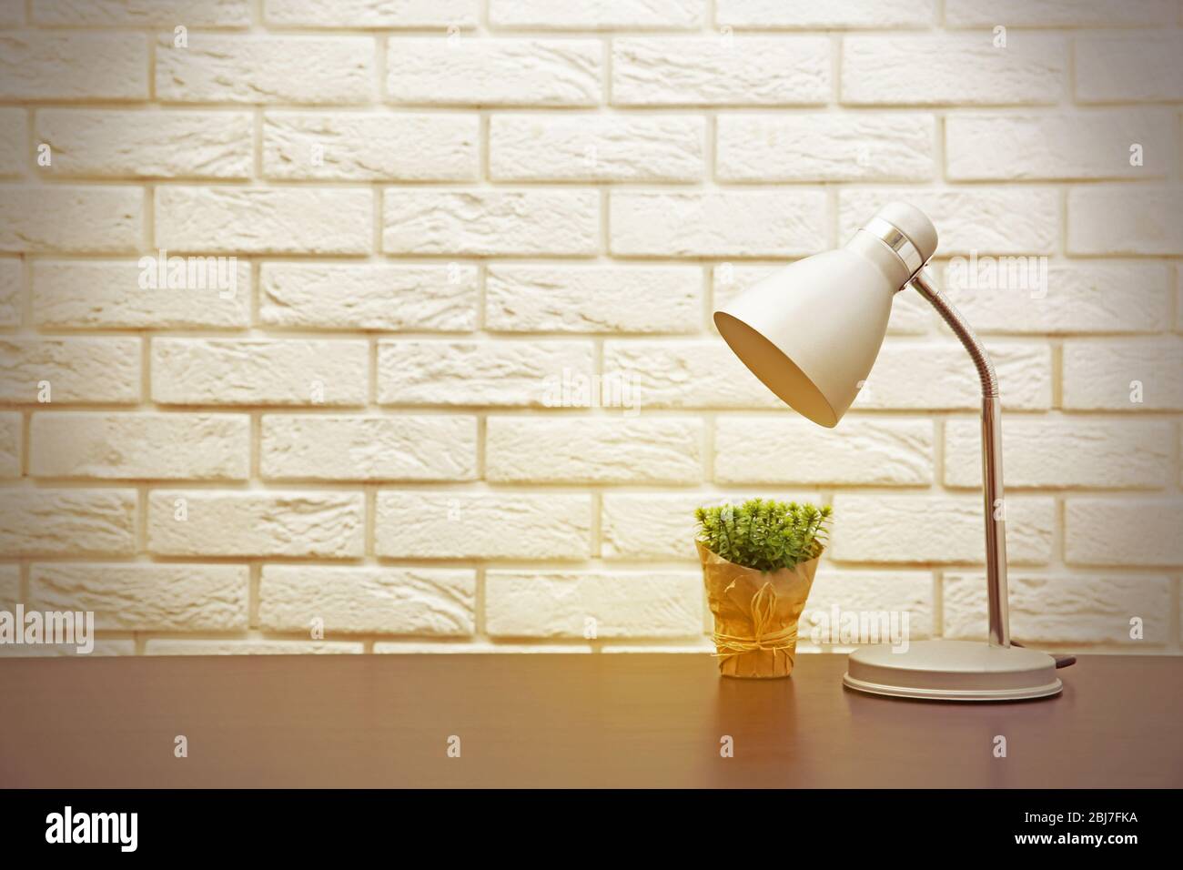 Lamp and plant on the desk on wall background Stock Photo - Alamy