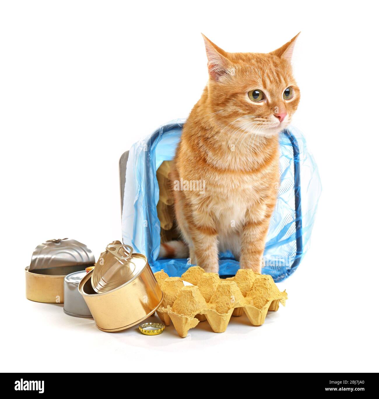 Inverted yellow Cut Out Stock Images & Pictures - Alamy