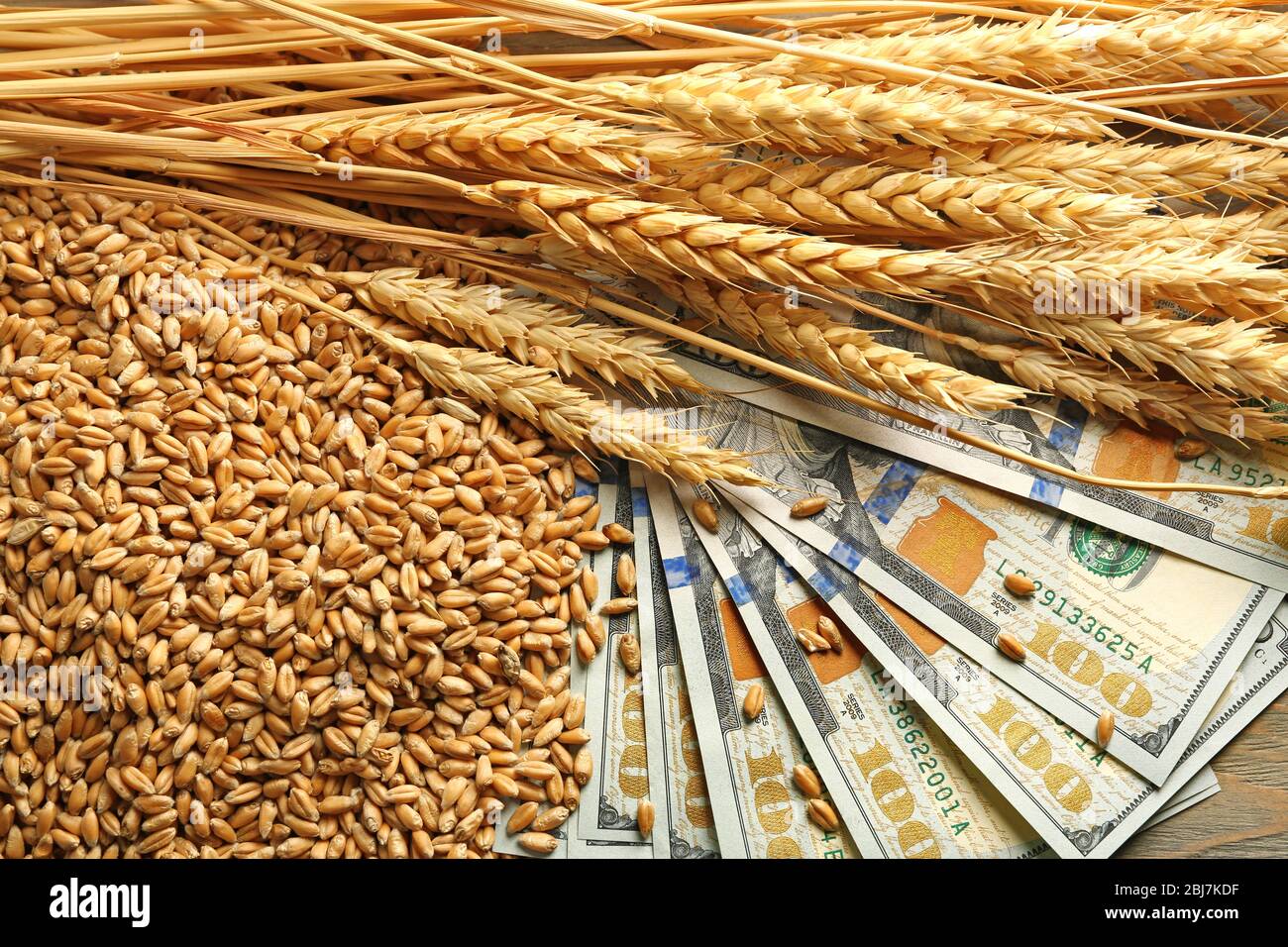 Dollar banknotes and wheat grains. Agricultural income concept Stock ...