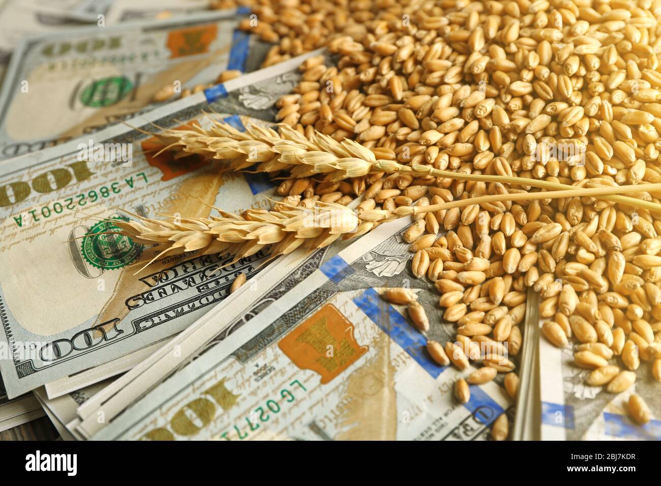Dollar banknotes and wheat grains. Agricultural income concept Stock ...