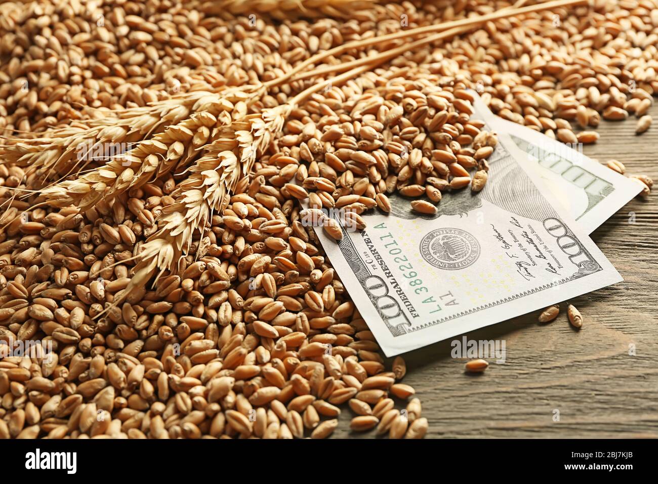 Dollar banknote and wheat grains. Agricultural income concept Stock ...