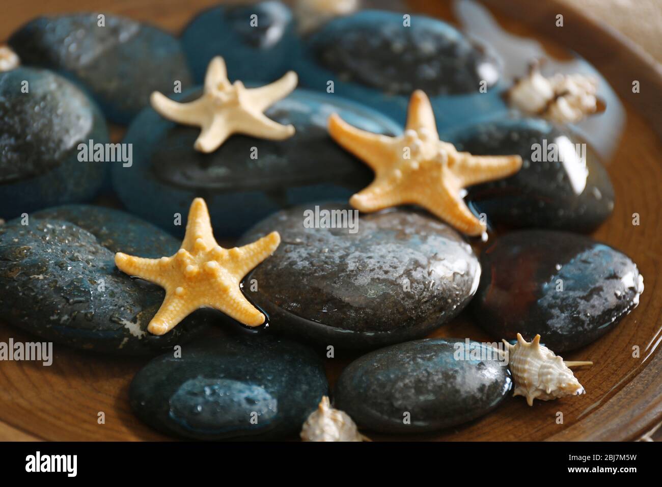 Beautiful starfishes coral sea hi-res stock photography and images - Alamy