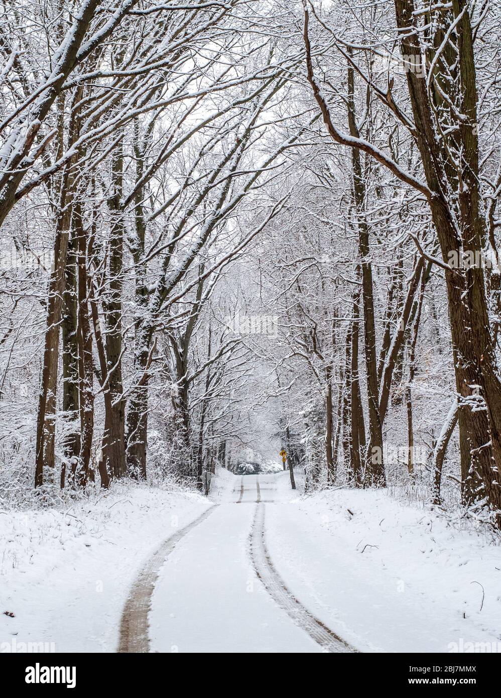 it does not t looks like springtime in Michigan, but a late snow storm ...