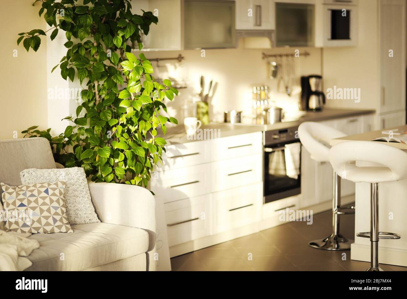 Modern beautiful kitchen interior Stock Photo - Alamy