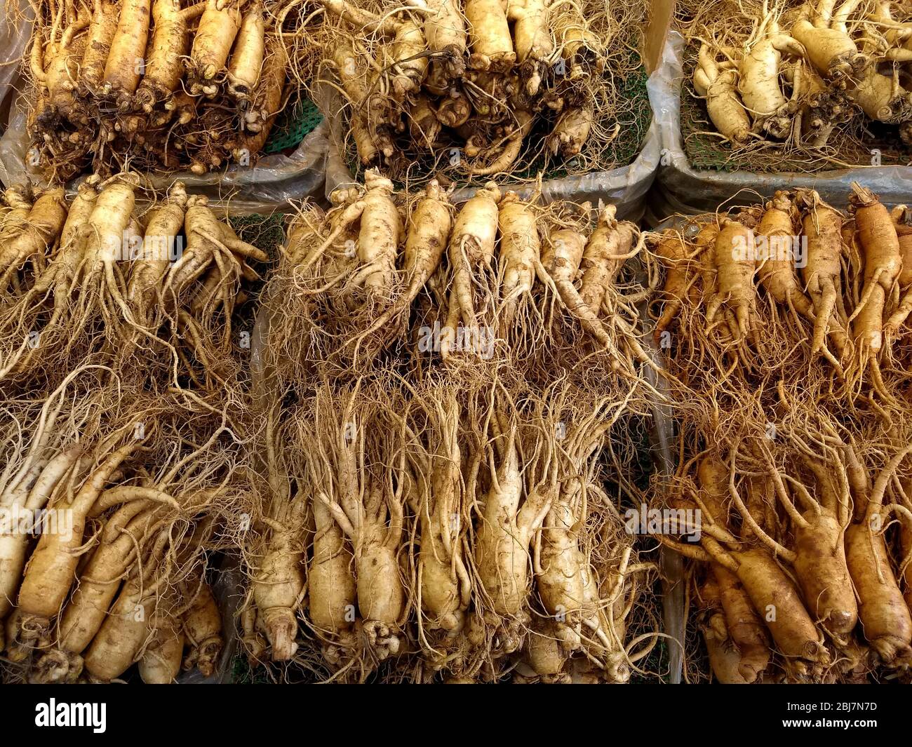 South korea farmers farm agriculture hi-res stock photography and ...