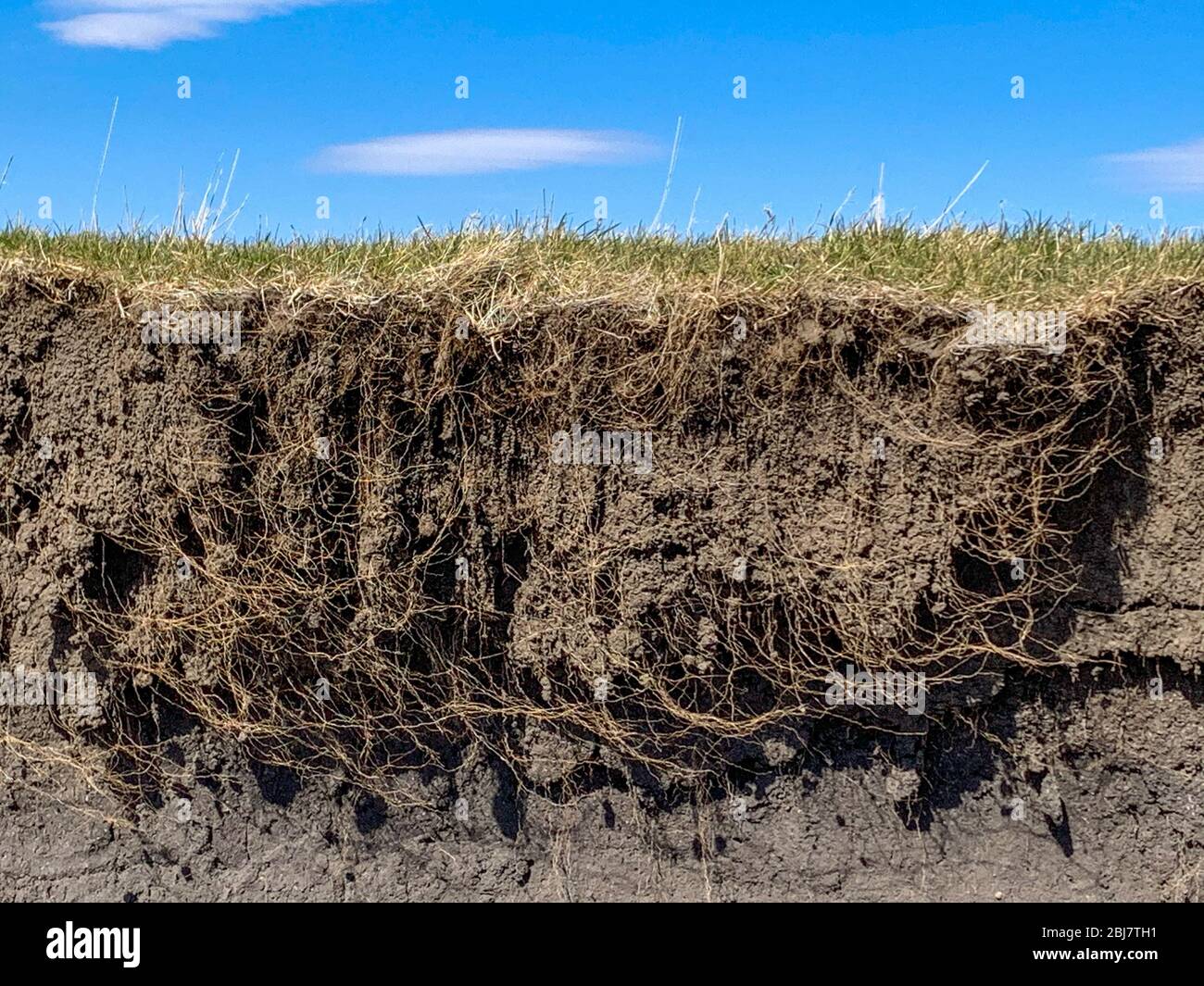 Runoff soil erosion farm land hi-res stock photography and images - Alamy