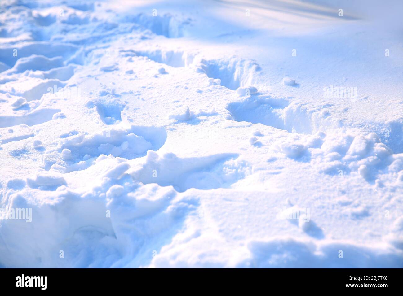 Winter snow cover Stock Photo - Alamy