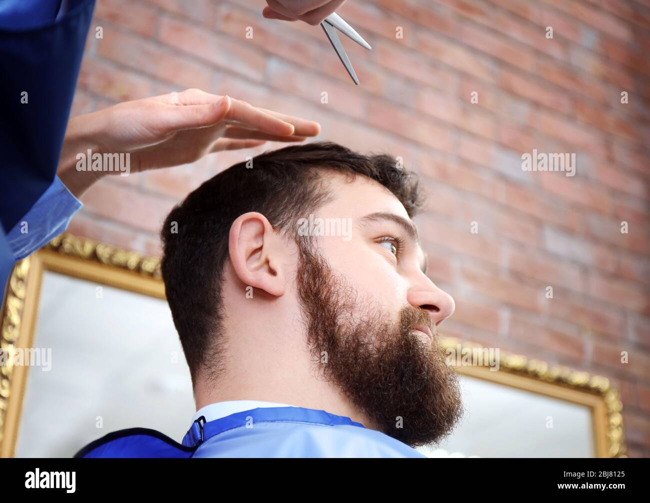 Hands barber woman working hi-res stock photography and images - Alamy