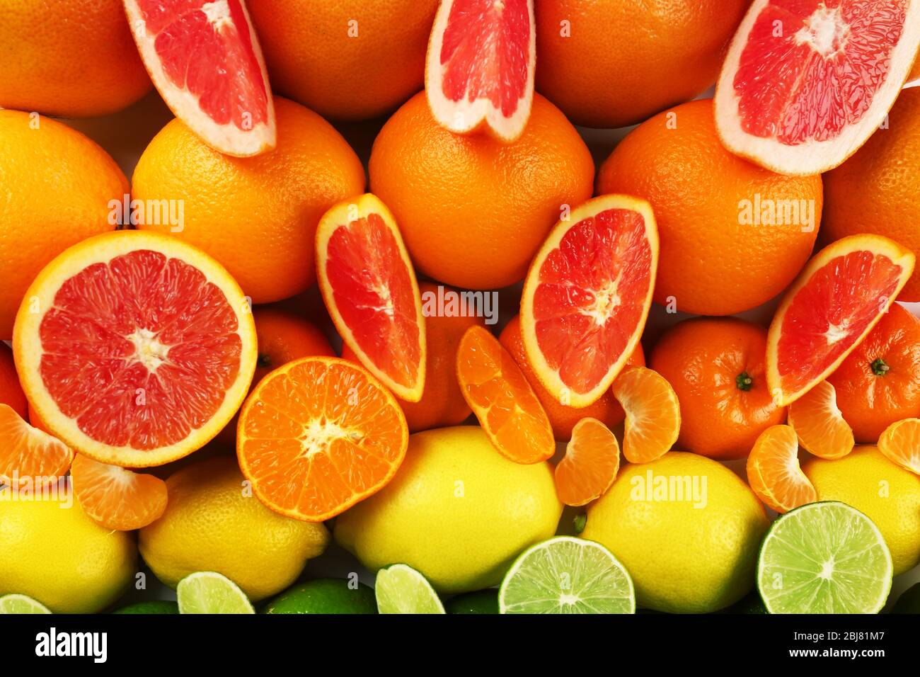 Colorful mixed citrus fruit sorted and lined up in rows with slices and ...