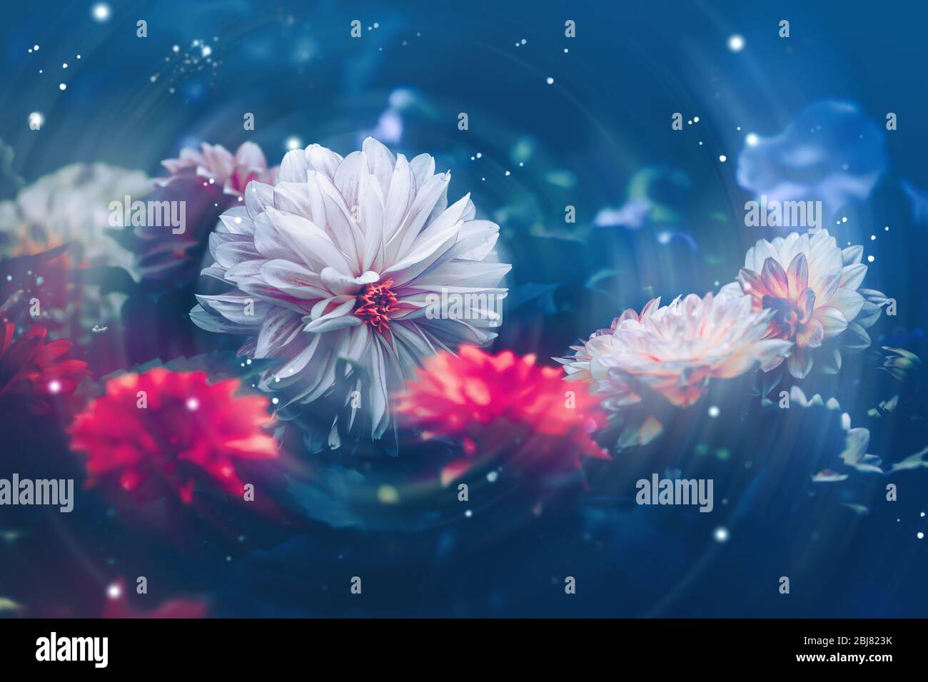Dramatic flower background; Nature Background Stock Photo - Alamy