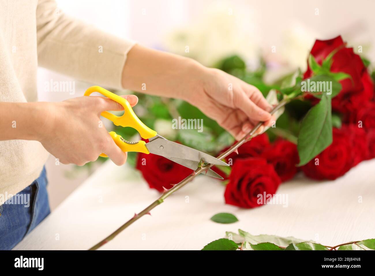 Woman cutting beautiful rose hi-res stock photography and images - Alamy