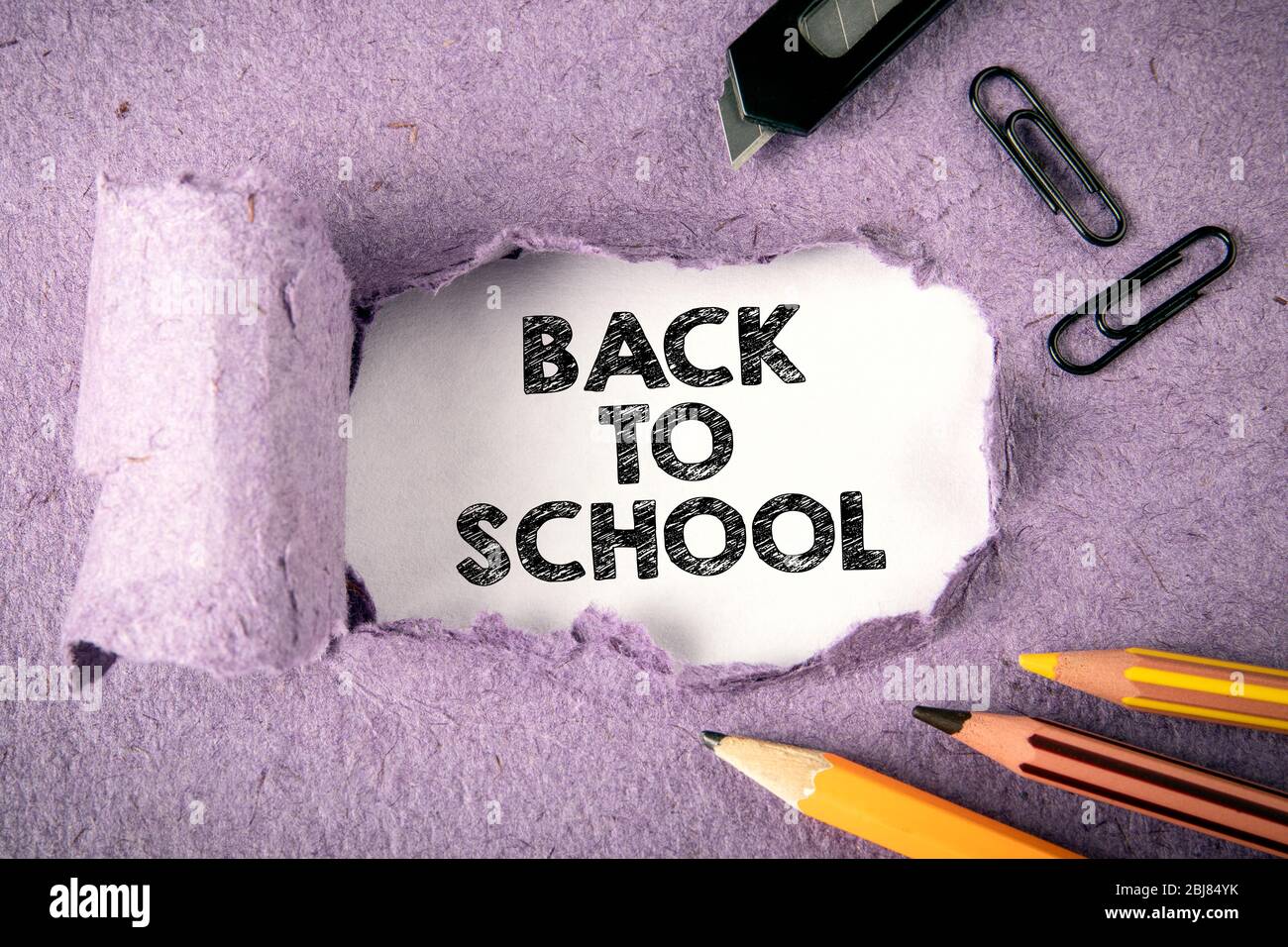 BACK TO SCHOOL. Education, skills, learning and online courses concept ...