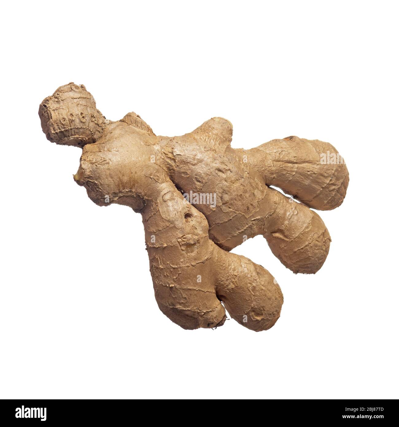 Ginger isolated white rhizome hi-res stock photography and images - Alamy