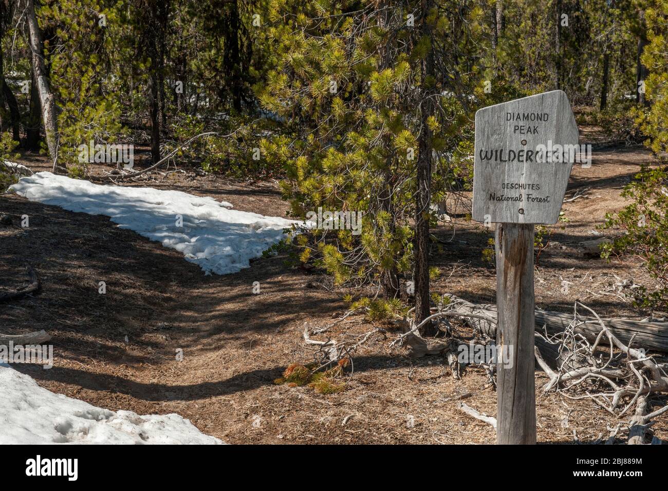 Wilderness Boundary sign beside a trail Stock Photo - Alamy