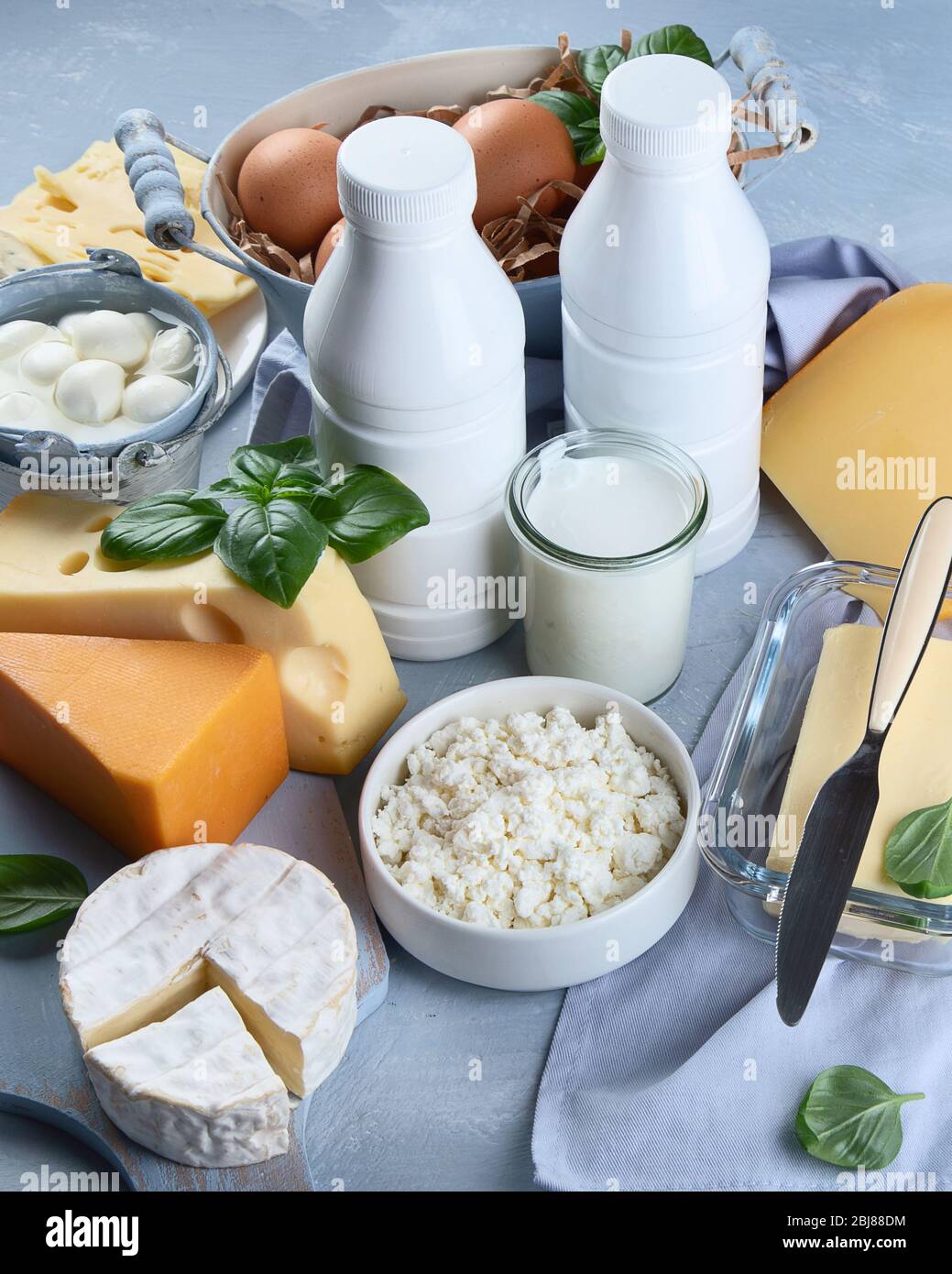 Dairy Products List