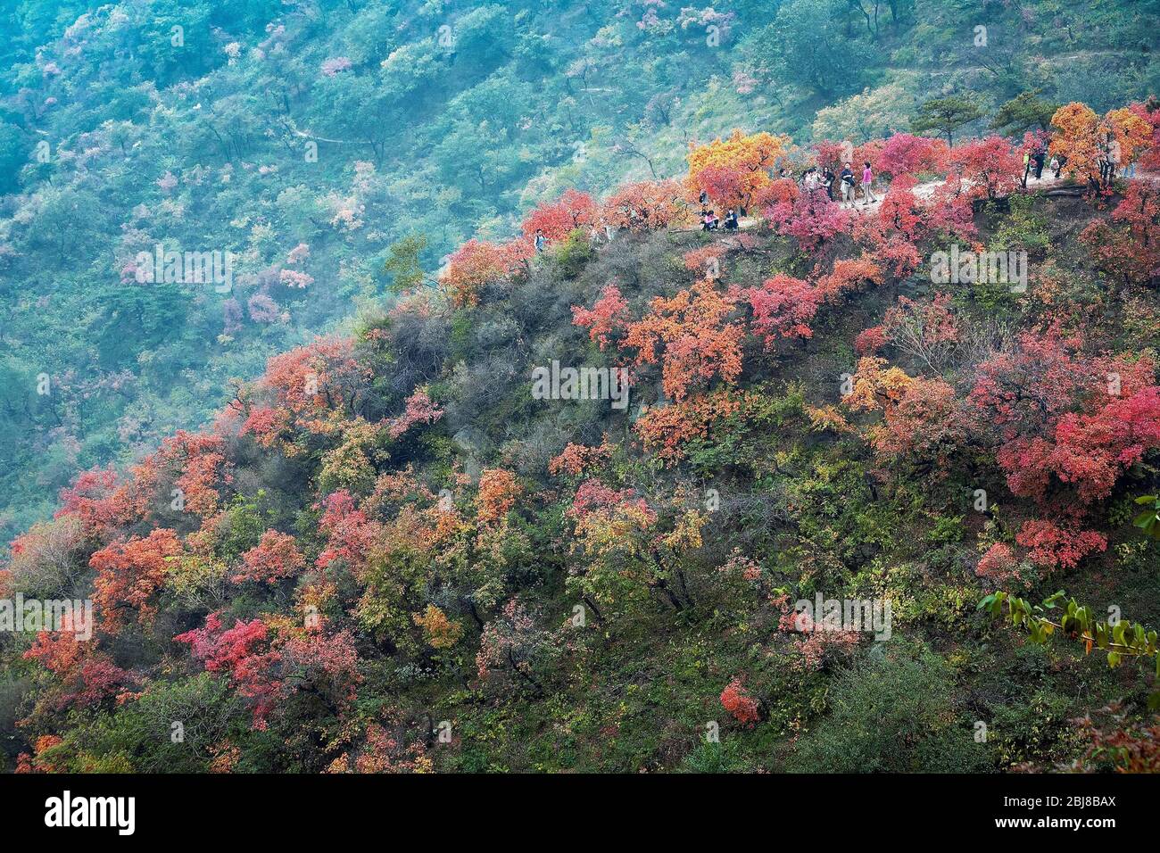 Beijing, Beijing, China. 29th Apr, 2020. BeijingÃ¯Â¼Å'CHINA-On April 28 ...