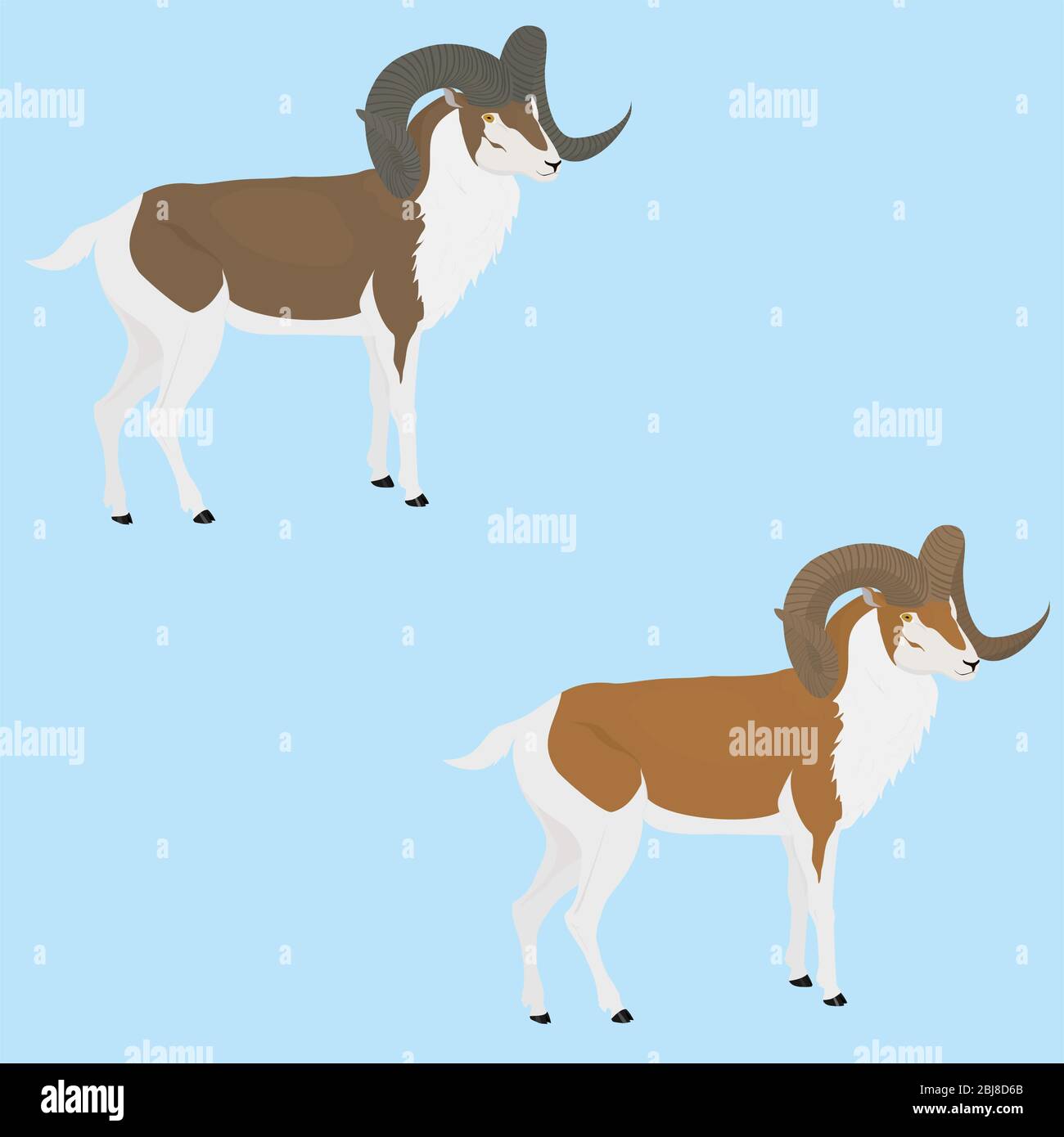 Brown beard goat Stock Vector Images - Alamy
