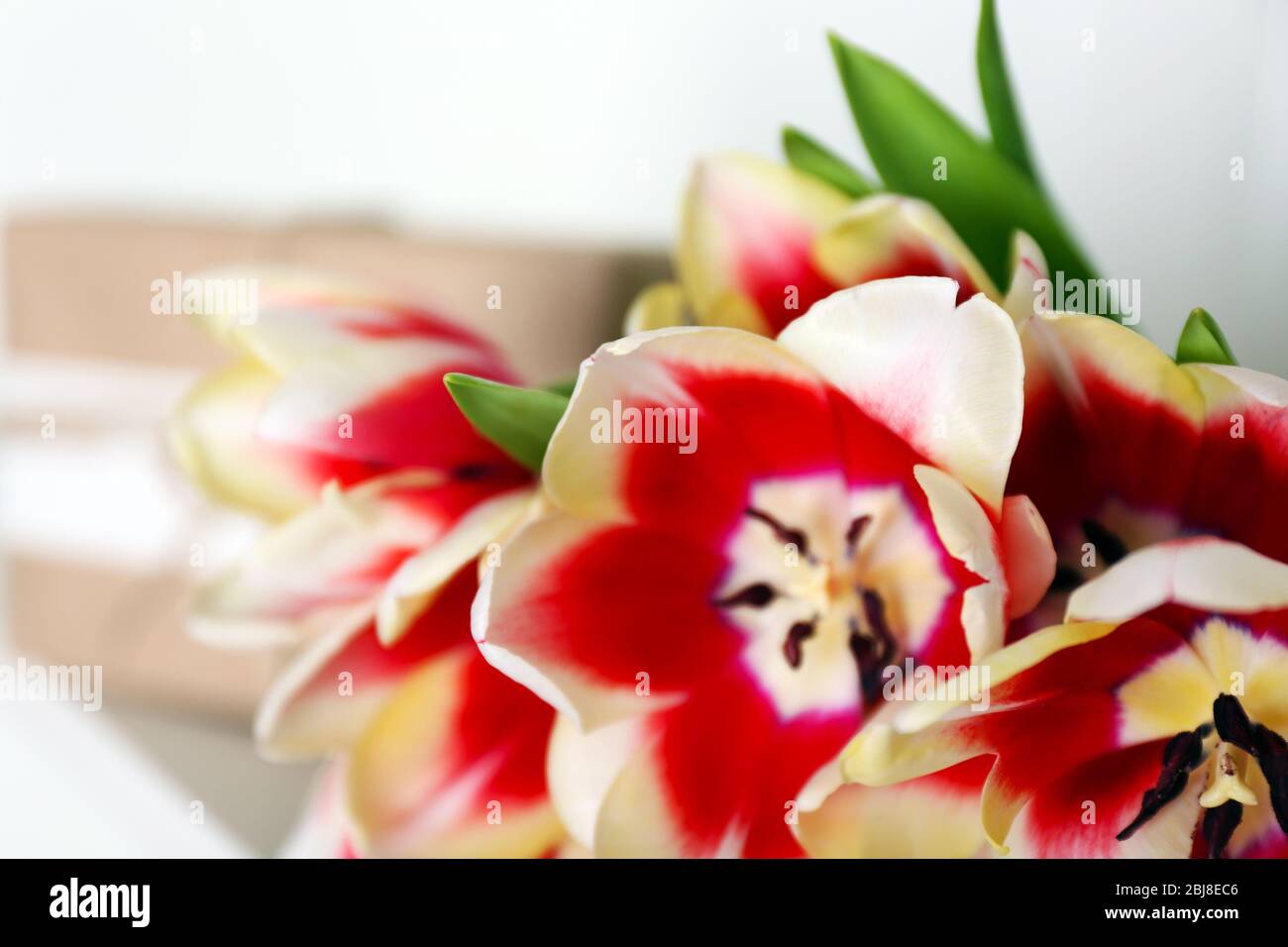Bouquet of variegated tulips, close up Stock Photo - Alamy